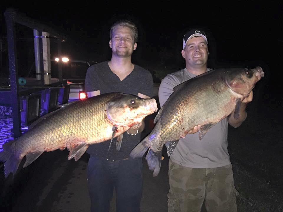 About – Rough Fish Registry